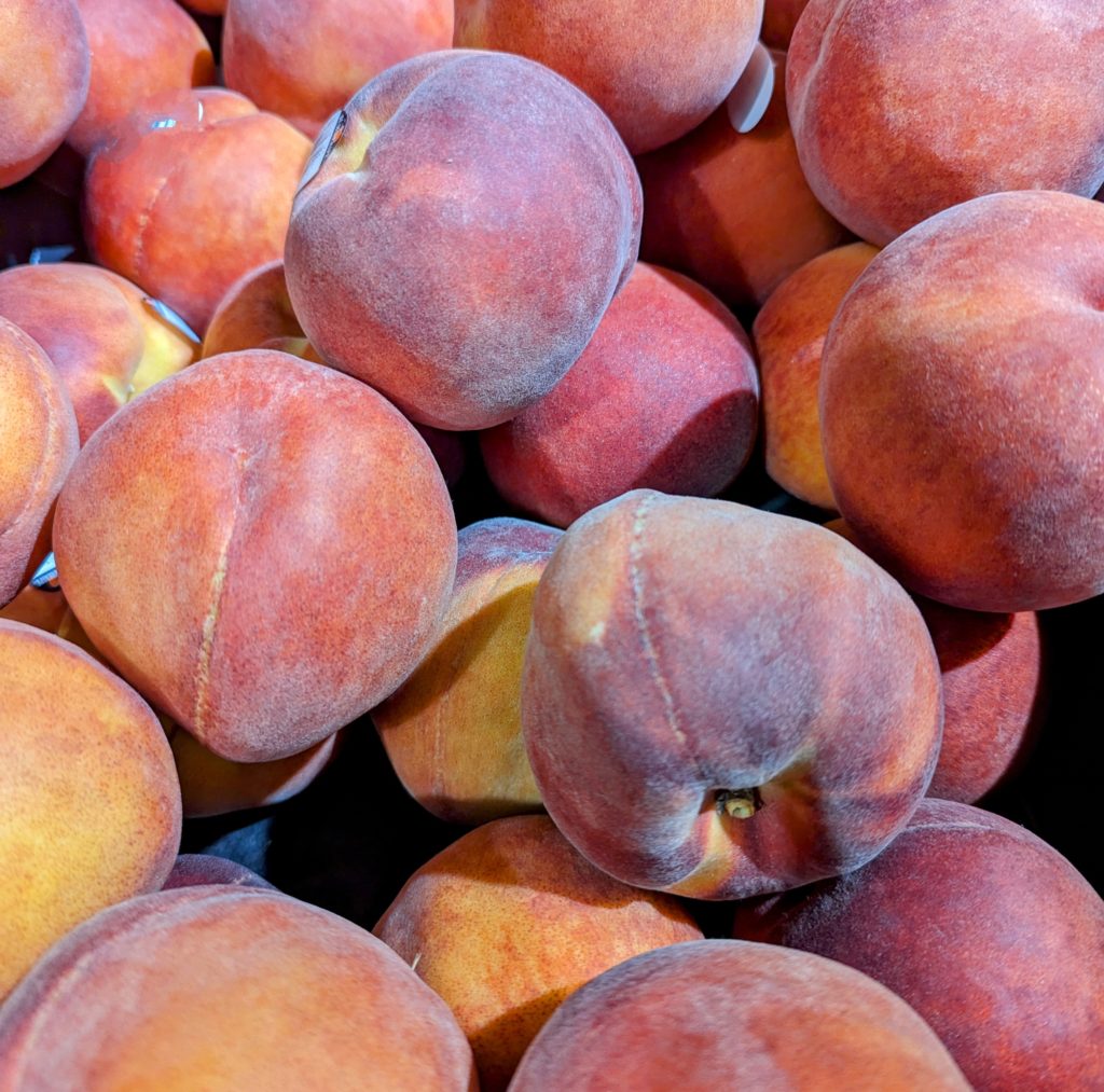 First Fruit Tree Patent Was Granted in 1932 » Celebrate and Learn